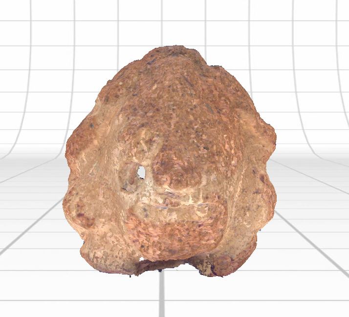 3D Scanning Artifacts: How Does it Work? – The Peabody