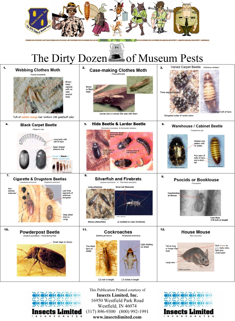 The Peabody – The Robert S. Peabody Institute of Archaeology